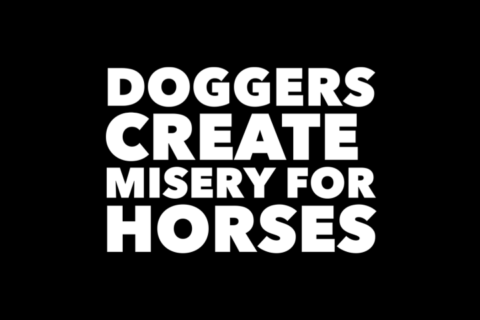DOGGERS - Meet Our Horse Meat